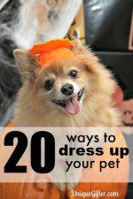 20 Ways to Dress up Your Pet - Unique Gifter