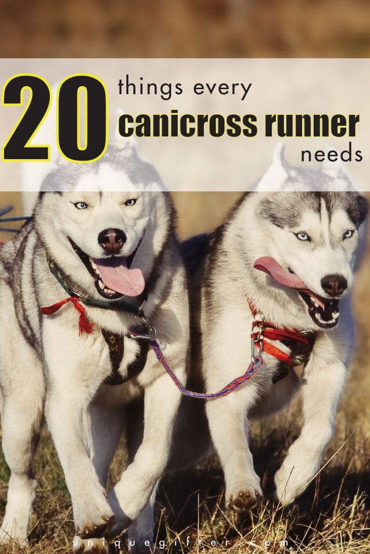 20 Things Every Canicross Runner Needs - Unique Gifter