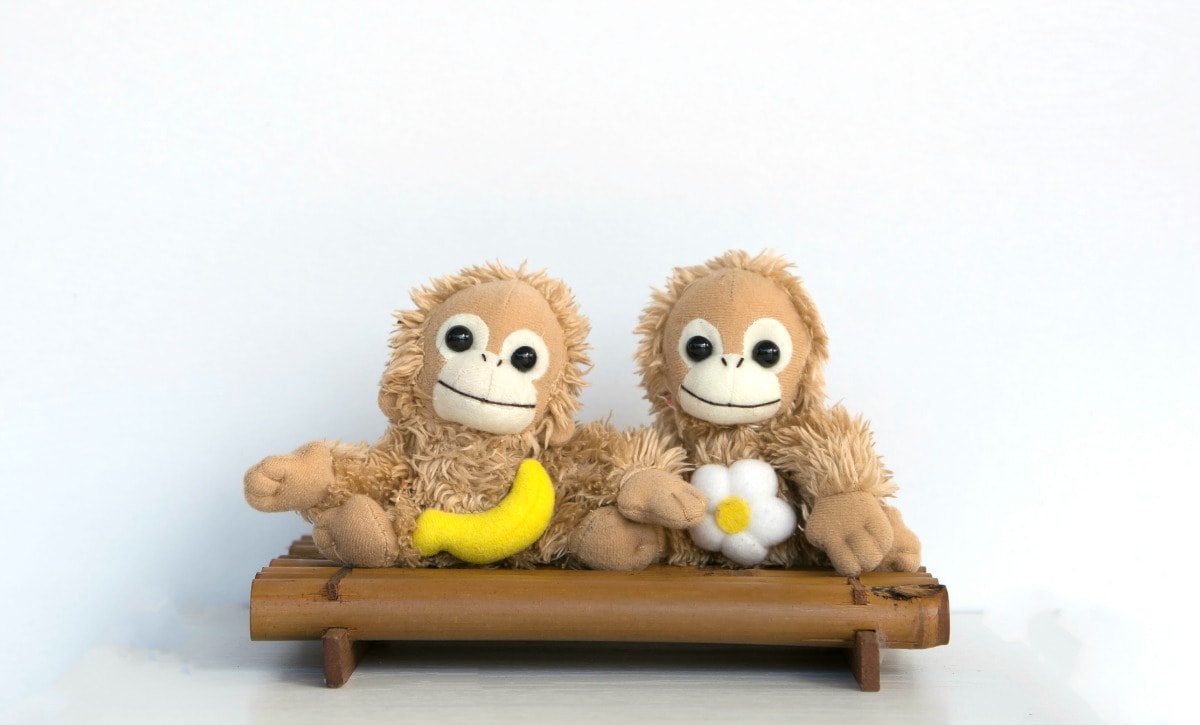 20 Adorable Monkey Gifts that Adults Want Too - Unique Gifter