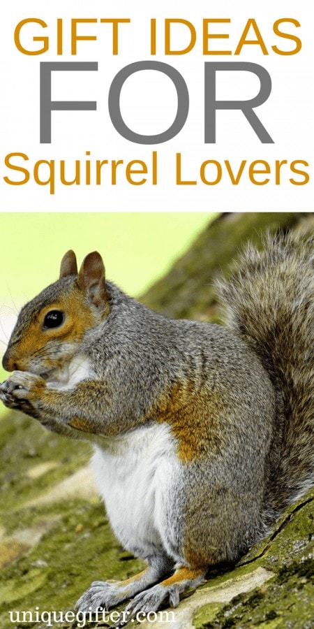 20 Gift Ideas for Squirrel Lovers - Unique Gifter