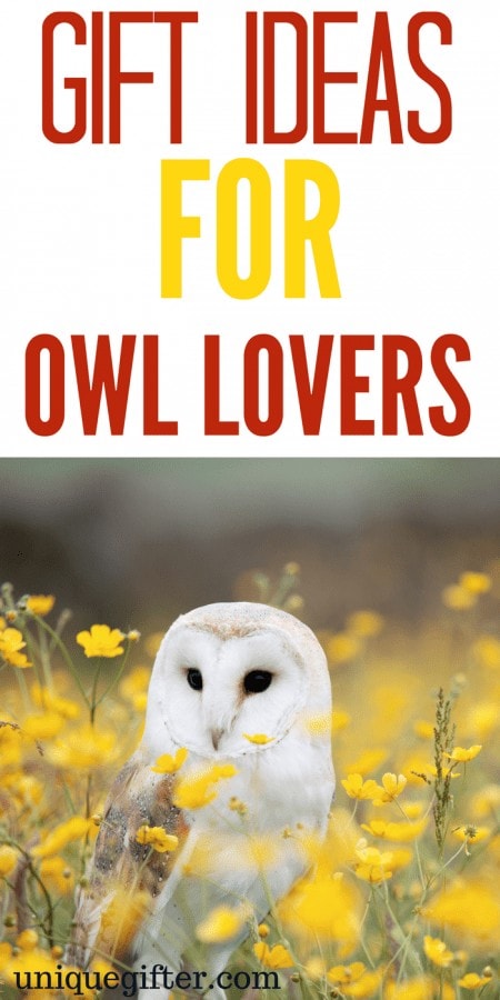Gift Ideas for Owl Lovers That are a HOOT!