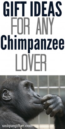 20 Gift Ideas for Chimpanzee Lovers - Unique Gifter