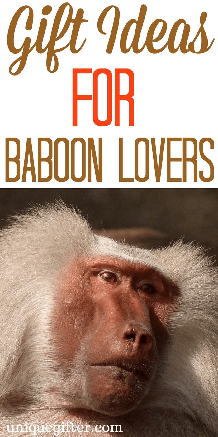 20 Gift Ideas for Baboon Lovers - Unique Gifter