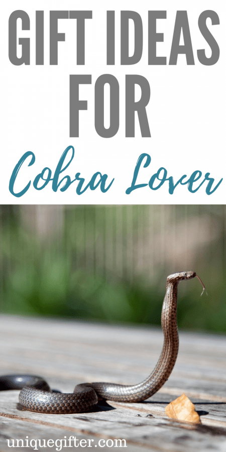 A to Z Gift Ideas for Animal Lovers of Every Stripe and Tail - Unique ...