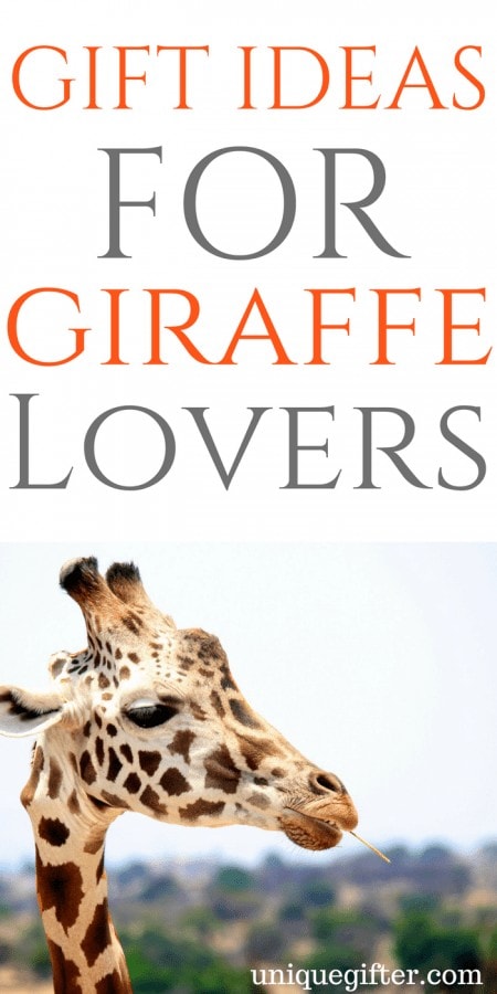 20 Gift Ideas for Giraffe Lovers That Are Amazing! - Unique Gifter