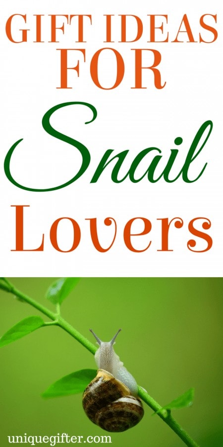 20 Gift Ideas for Snail Lovers - Unique Gifter