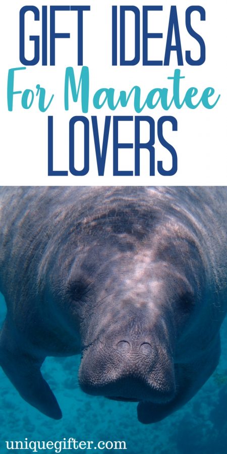 20 Gift Ideas for Manatee Lovers - Unique Gifter