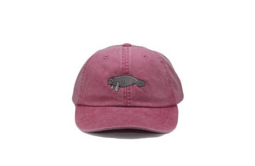 20 Gift Ideas for Manatee Lovers - Unique Gifter
