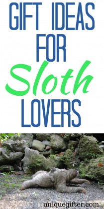 40 Gift Ideas for Sloth Lovers - Unique Gifter