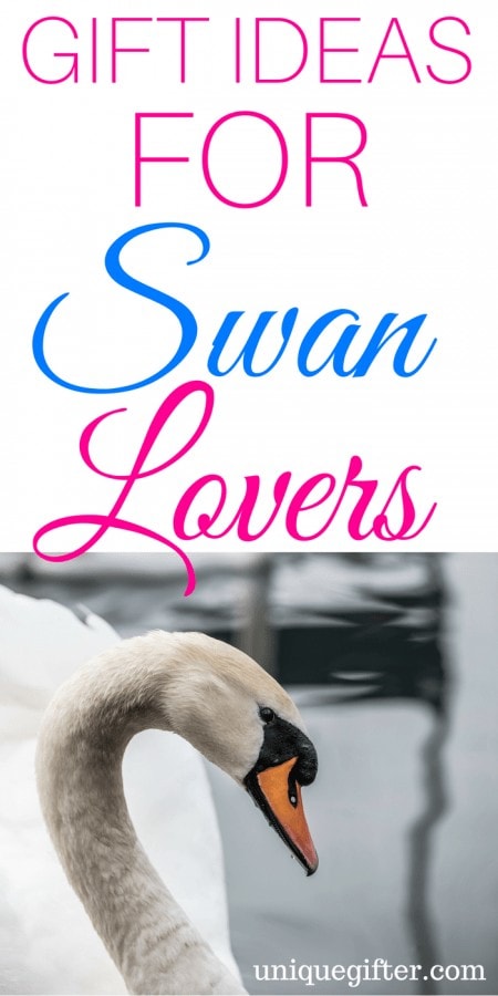 Gift Ideas for Swan Lovers - Unique Gifter