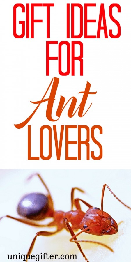 20 Gift Ideas for Ant Lovers - Unique Gifter