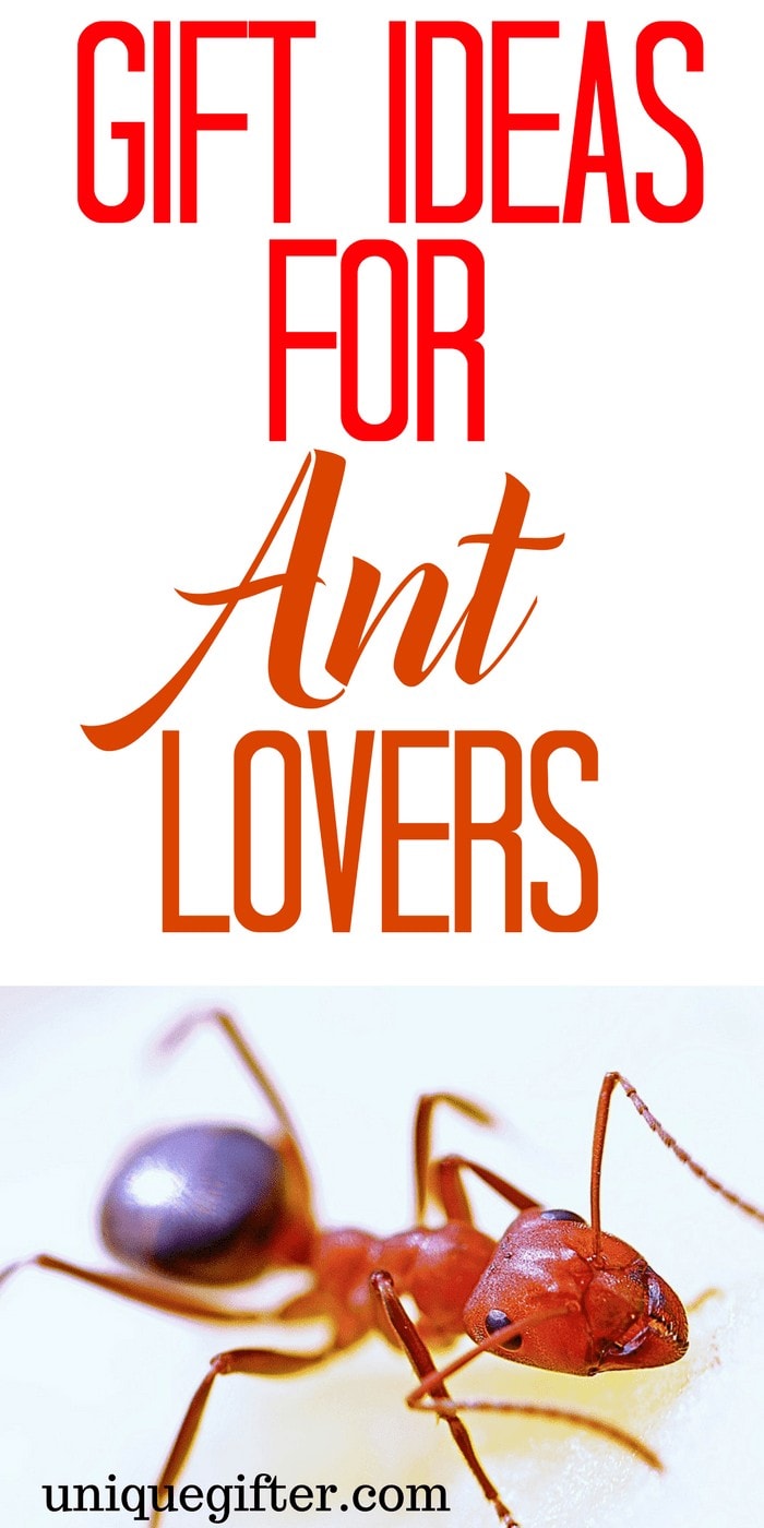 20 Gift Ideas for Ant Lovers - Unique Gifter