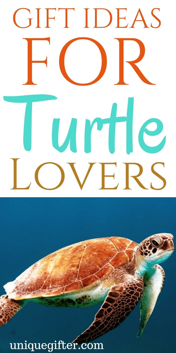 Gift Ideas for Turtle Lovers - Unique Gifter