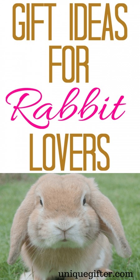 Gift Ideas for Rabbit Lovers - Unique Gifter
