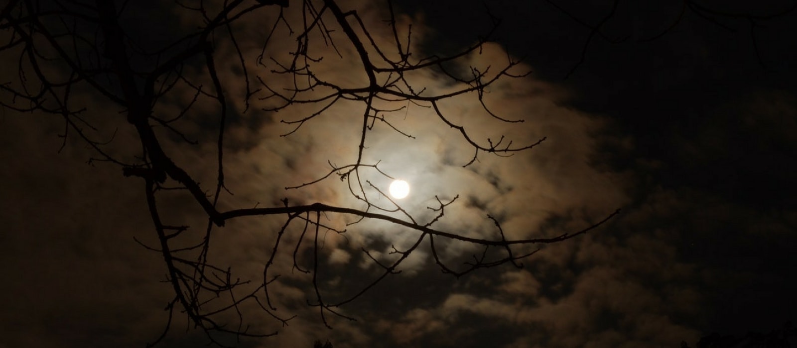 20 Gifts for Twilight Fans - Unique Gifter