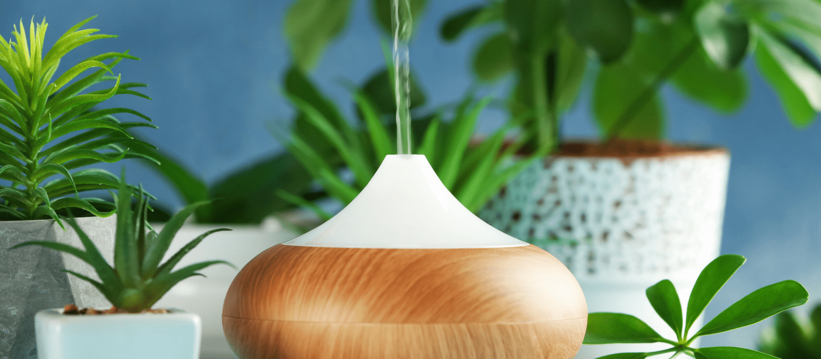 Our 20 Favourite Essential Oil Diffusers That Will Perfectly Compliment ...