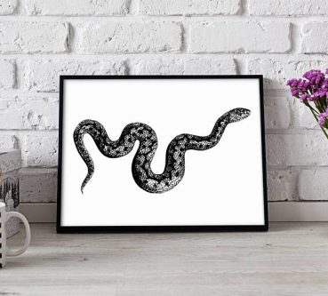 20 Gift Ideas for Snake Lovers - Unique Gifter