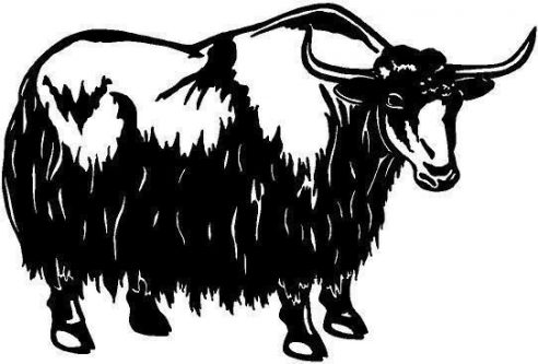 20 Gift Ideas for Yak Lovers - Unique Gifter