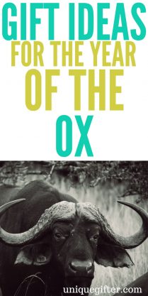 20 Gift Ideas for the Year of the Ox - Unique Gifter