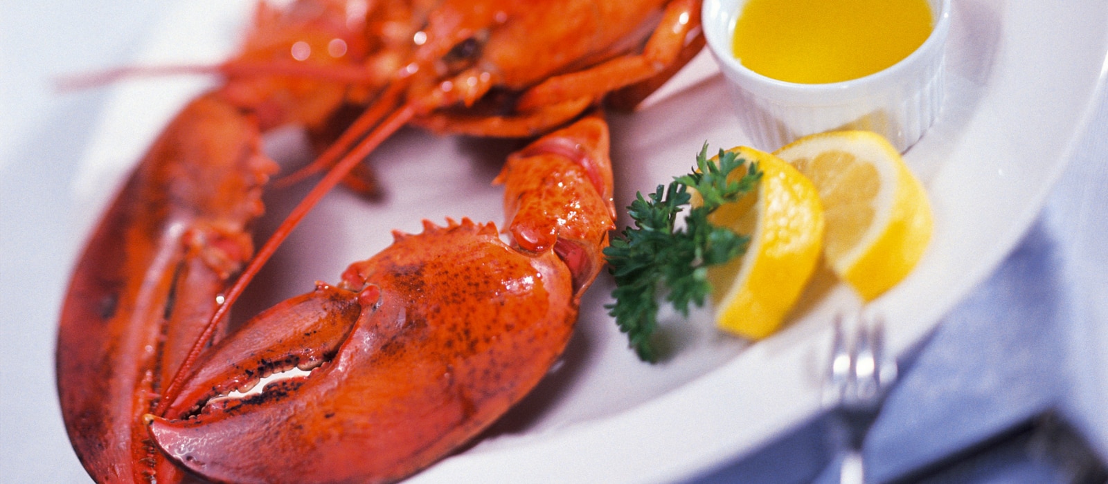 20 Gift Ideas for Lobster Lovers - Unique Gifter