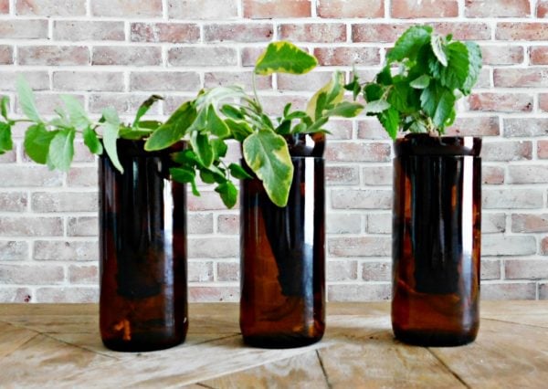 DIY Hydroponic Self-Watering Herb Planter Tutorial - Unique Gifter
