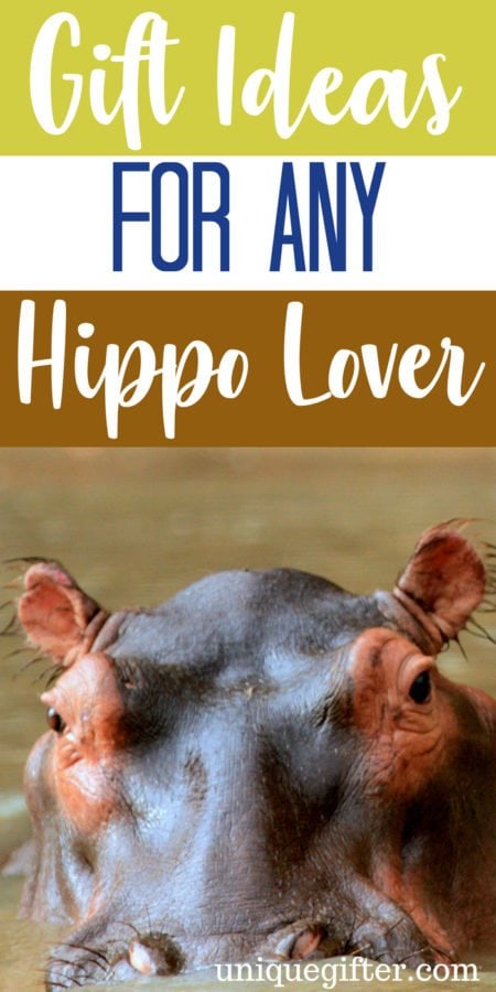 20 Gift Ideas for Hippo Lovers - Unique Gifter
