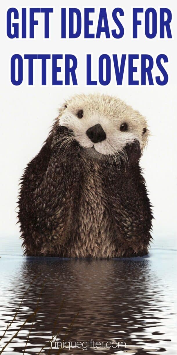 20 Gift Ideas for Otter Lovers - Unique Gifter