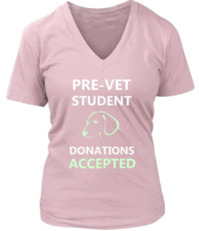 Gift Ideas for Veterinary Students - Unique Gifter