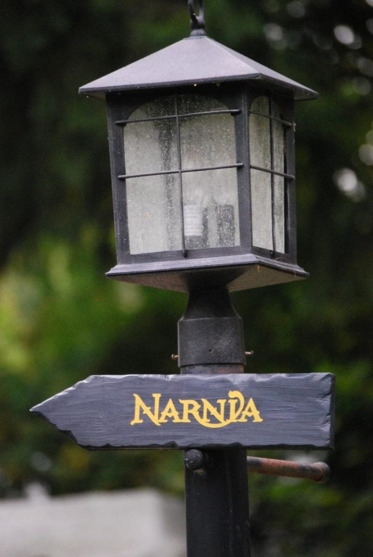 Best Gifts For Chronicles Of Narnia Fans - Unique Gifter