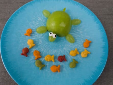 Healthy Sea Turtle Snack Idea for Kids - Unique Gifter
