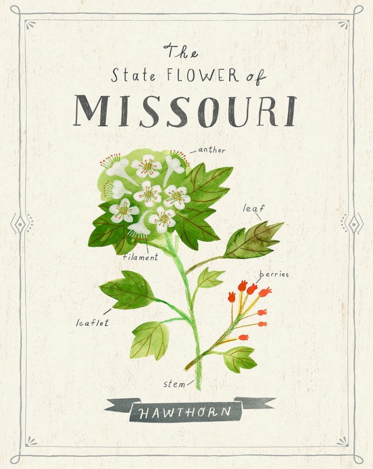 Best Birth Month Flower Gift Ideas for May - Unique Gifter