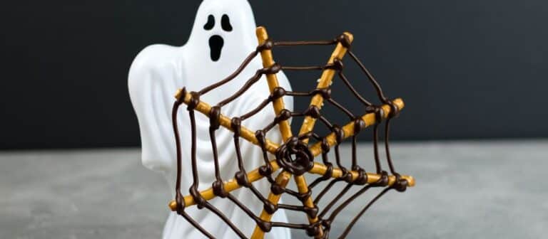 Chocolate Pretzel Spiderweb Halloween Snack - Unique Gifter