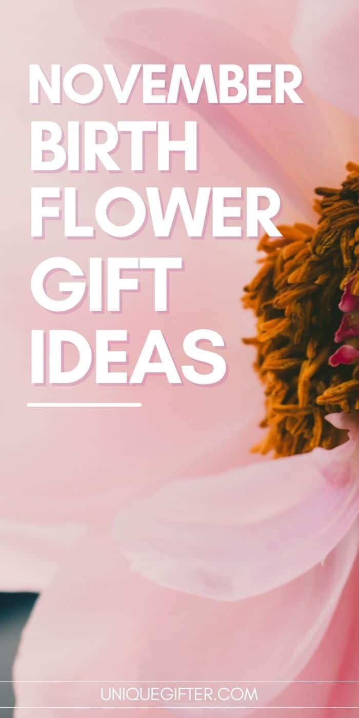 Best Birth Month Flower Gift Ideas for November - Unique Gifter