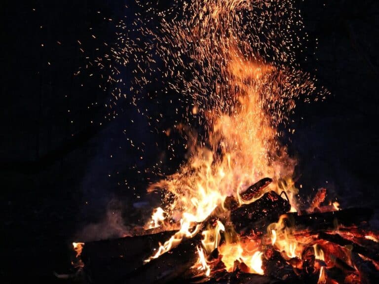 How to Feed Your Graduation Party Guests for Under $100 | Unique Gifter